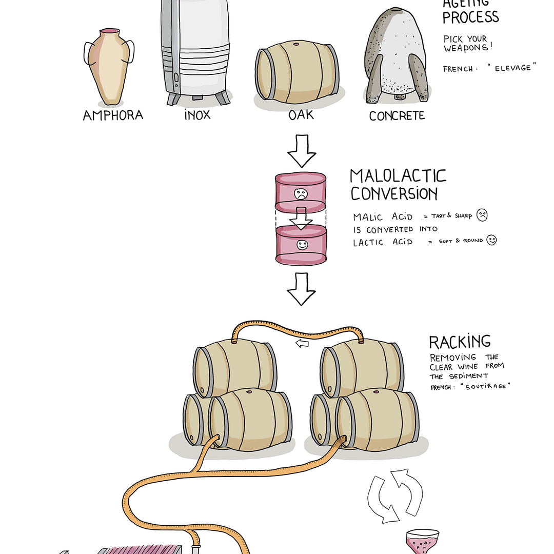 Wine 101 – Tagged "How Red Wine is made" – McLaren Vale Cellars
