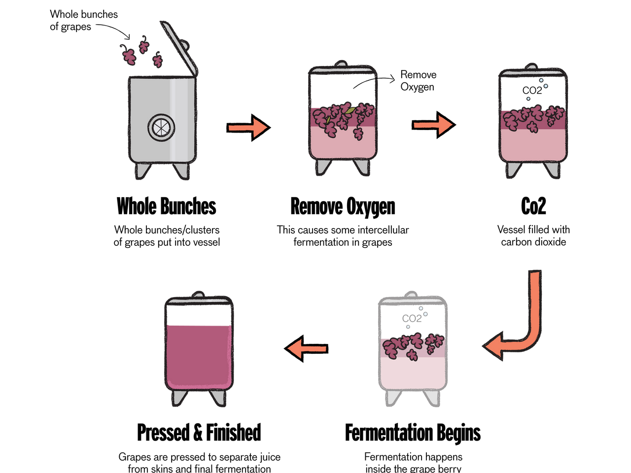 What is Malolactic Fermentation? A Complete Guide – McLaren Vale Cellars